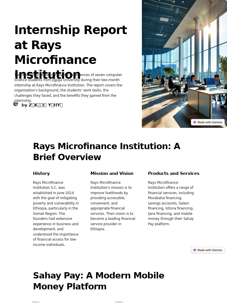 Internship Report at Rays Microfinance Institution | PDF | Microfinance | Web Development
