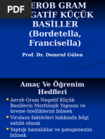 Tatarcik | PDF