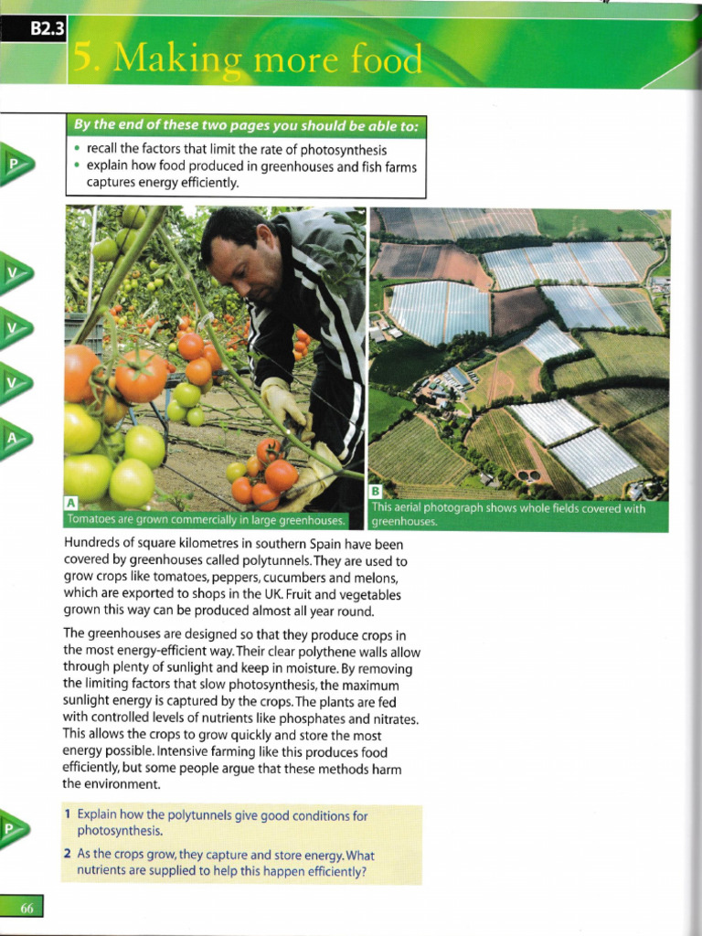 Science8Sep2024 240907 214909 | PDF