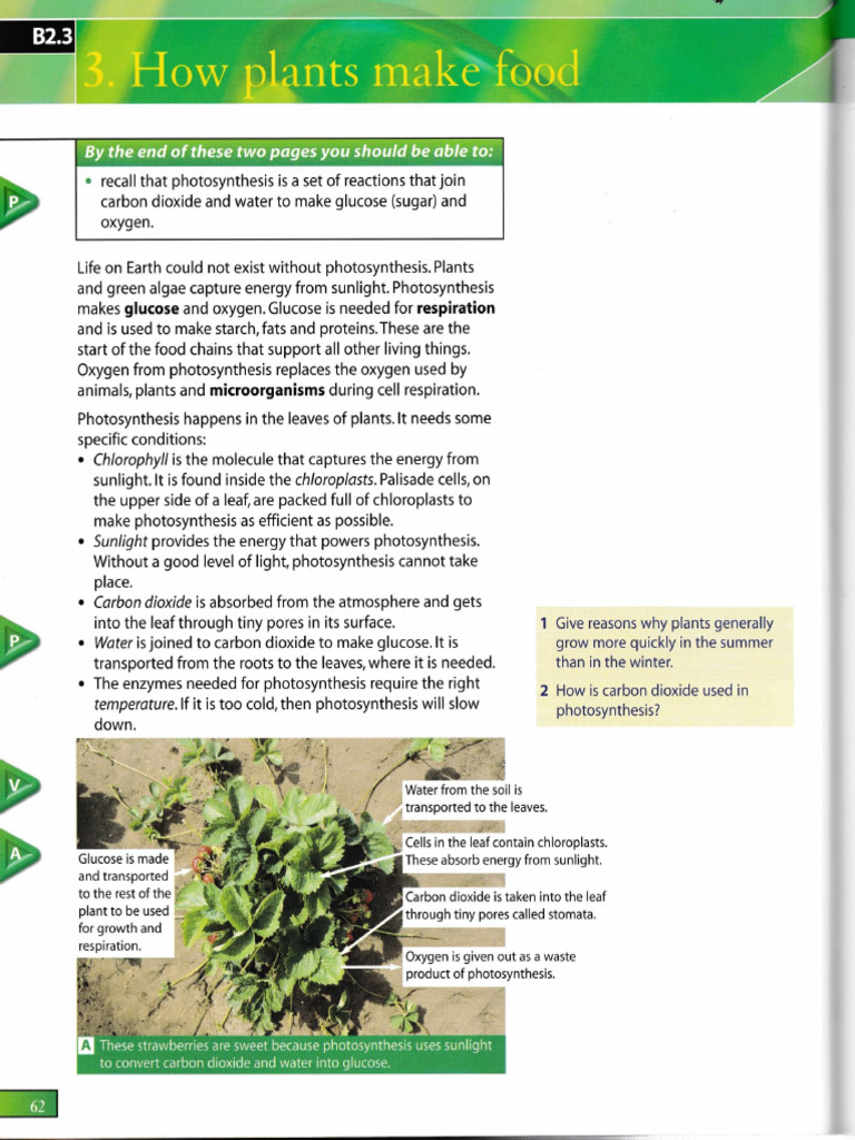 Science1Sep2024 240831 224600 | PDF