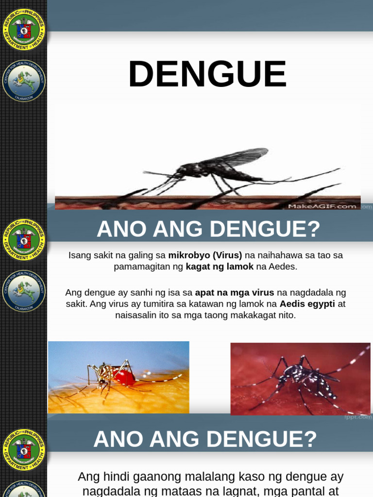 Dengue Presentation Tagalog | PDF