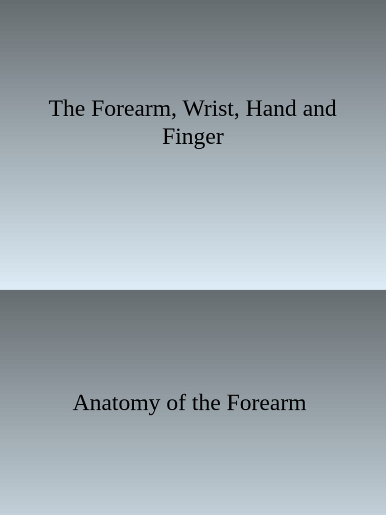 Forearm Wrist and Hand | PDF | Thumb | Hand