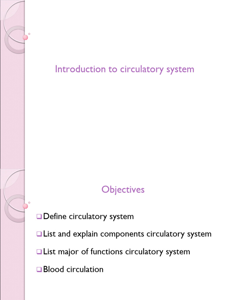 Anatomy of Circulatory System | PDF | Circulatory System | Aorta
