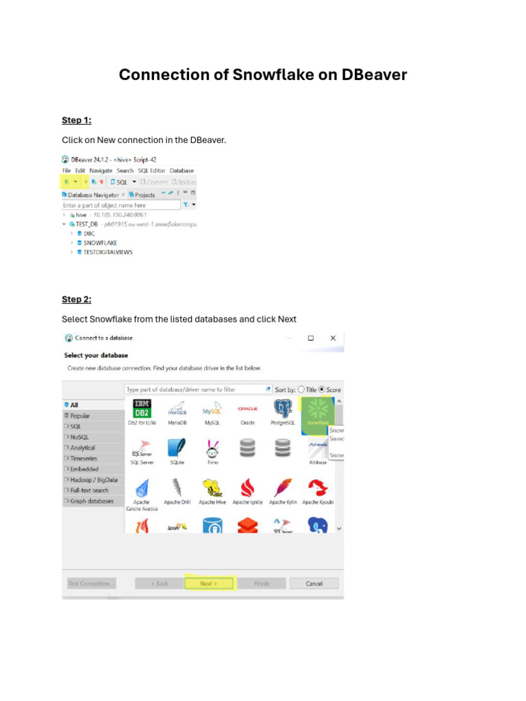 Connection of Snowflake On DBeaver | PDF