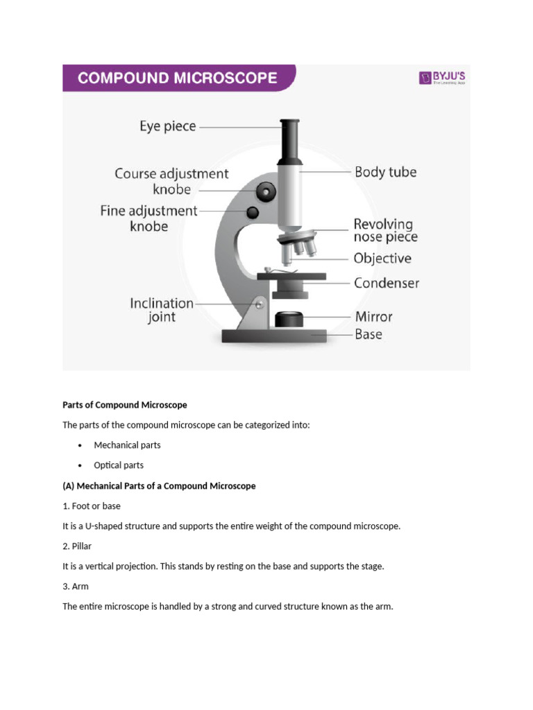 Parts of Compound Microscope | PDF | Glass Applications ...
