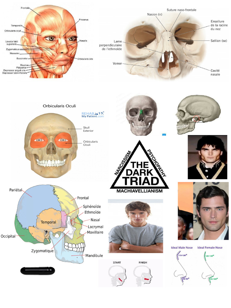 Maxxing - Copie | PDF