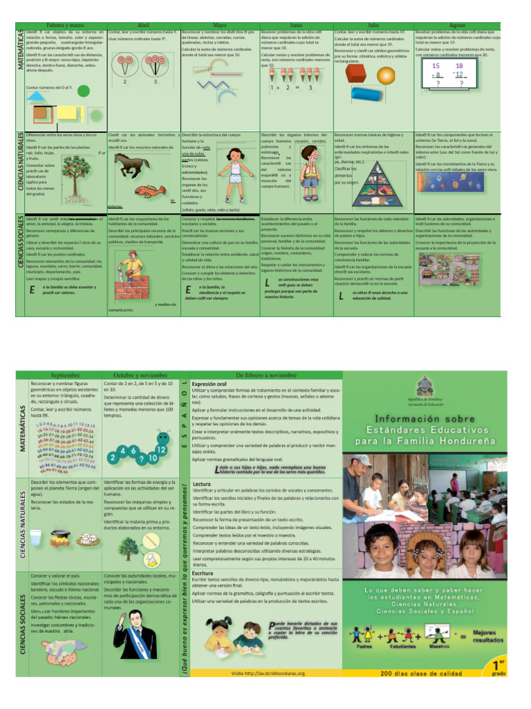 Estándares Mensuales Asignaturas Básicas 1° Grado | PDF | Escuelas