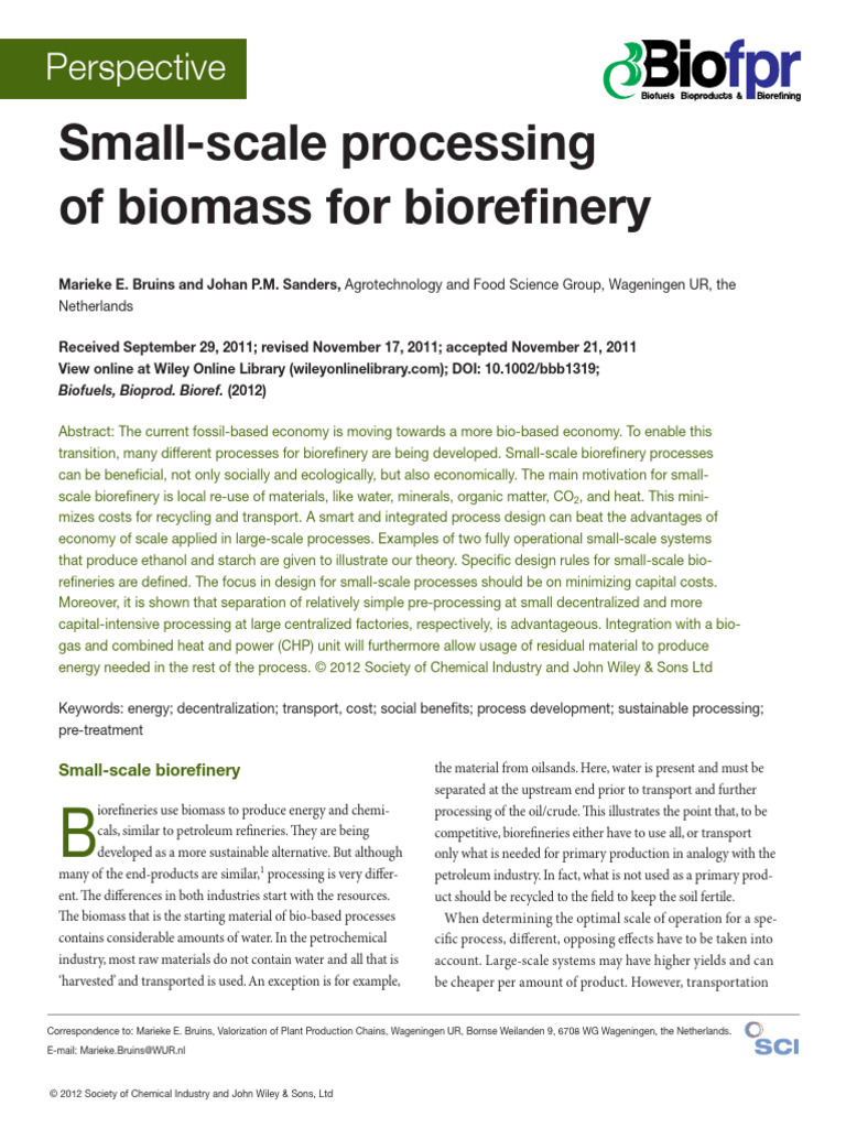Small Scale Processing of Biomass For Biorefinery | PDF | Biorefinery ...