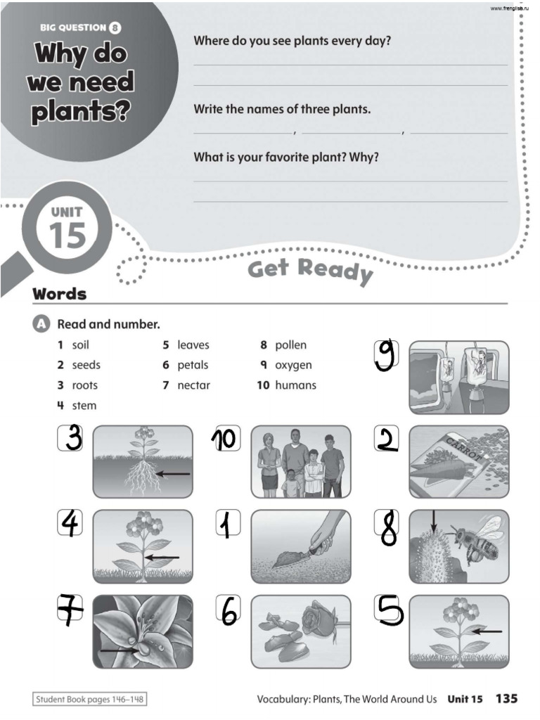 Bản Sao 2. Workbook - Unit 15 - Get Ready | PDF