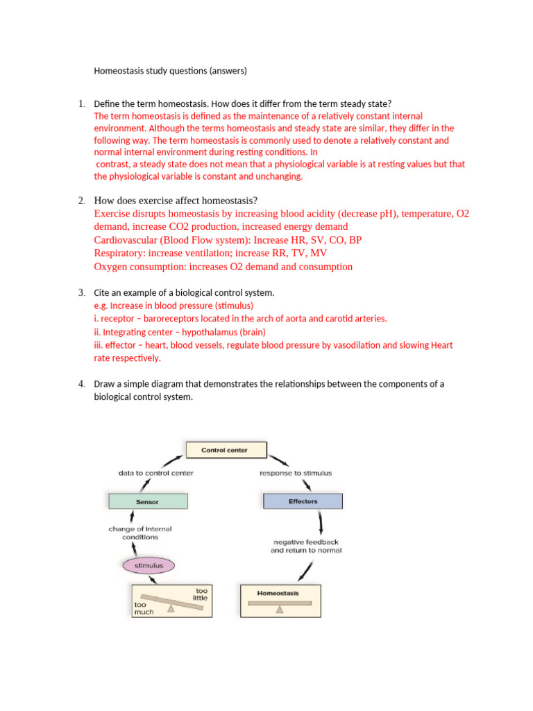 Homeostasis and Exercise Study Guide | PDF | Homeostasis | Physiology