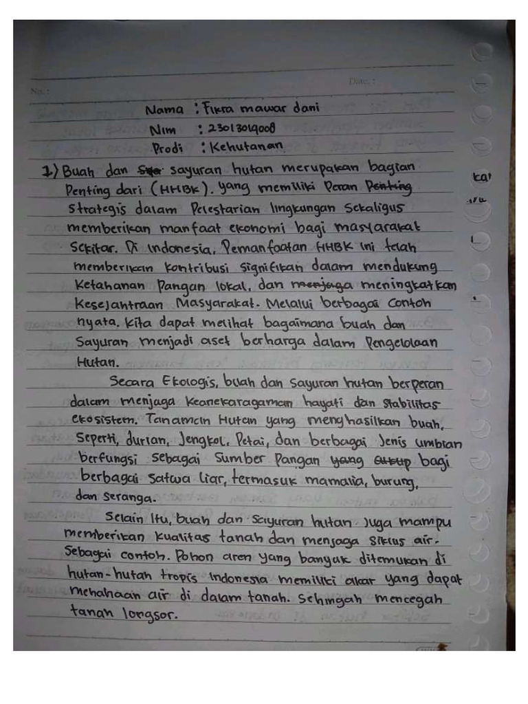 Fikra Mawardani | PDF