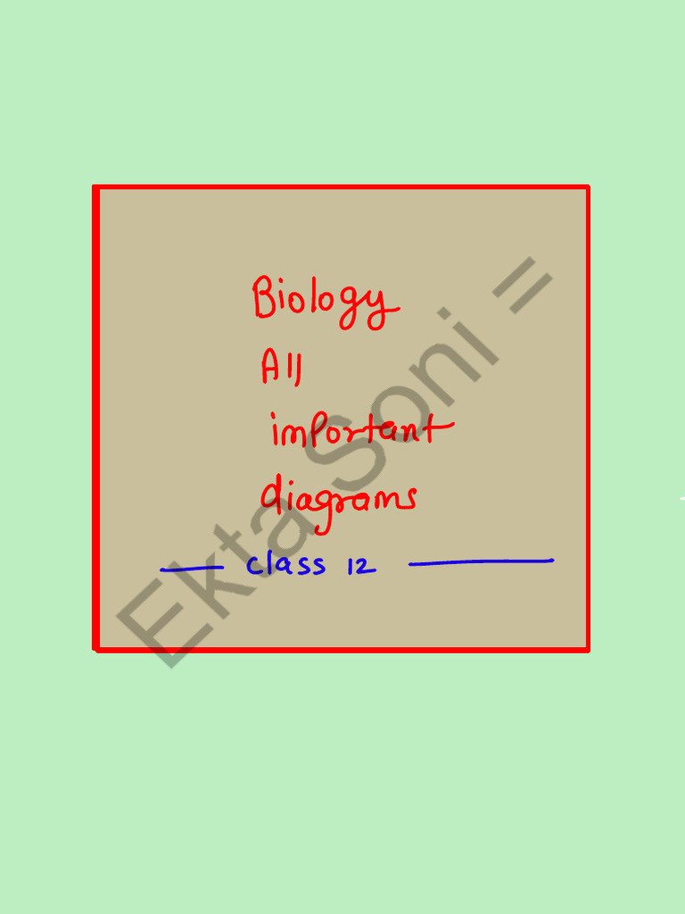 Imp Class 12 Biology Diagram PDF by Ekta Soni | PDF