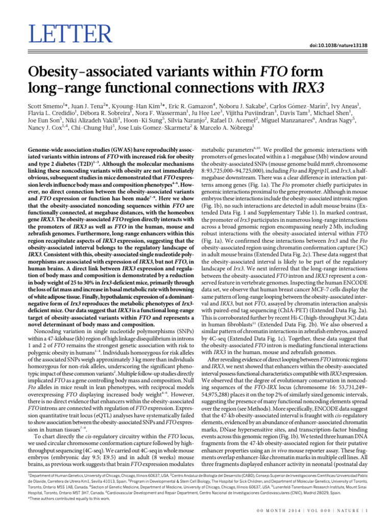 Obesity-associated variants within FTO form long-range functional ... Obesity-associated variants within FTO form long-range functional ...