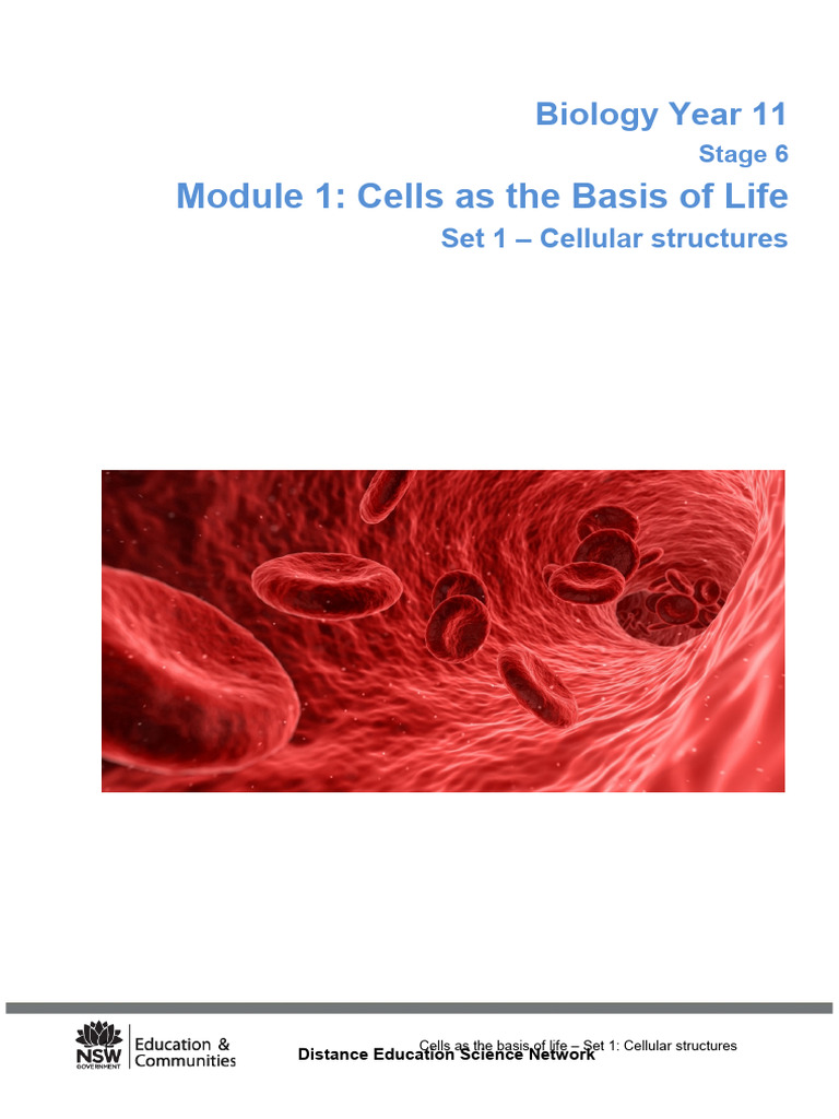Module 1 Set 1 - Cellular Structures | PDF | Cell (Biology) | Chloroplast