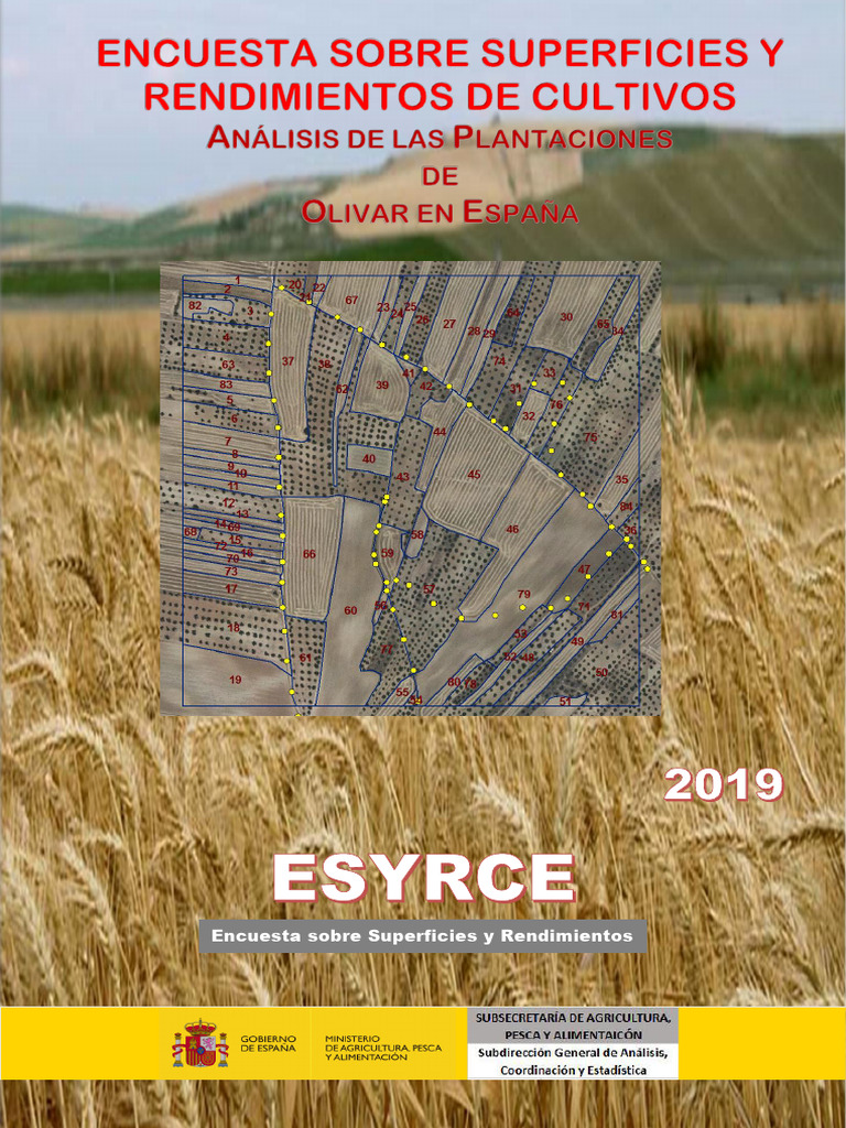 Olivar2019 tcm30-122331 | PDF | Riego | Agricultura