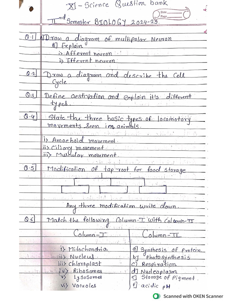 11biology 2sem Question Bank | PDF