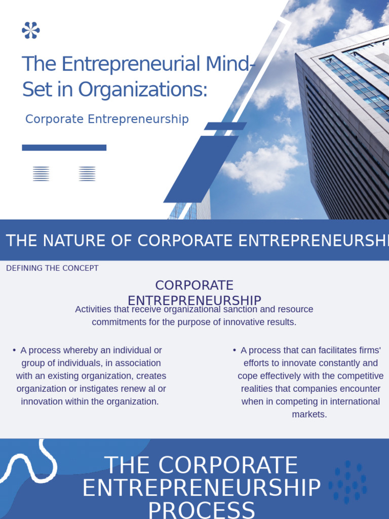 Corporate Entrepreneurship Strategies Explained | PDF ...