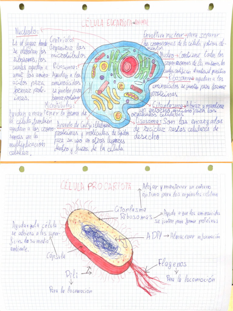Documento Escaneado 31-10-24 (11.03.10) | PDF