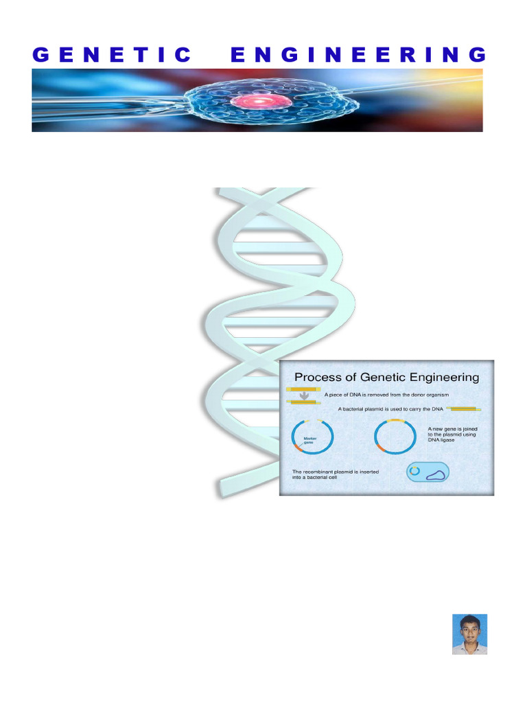 Genetic Enginering | PDF | Genetic Engineering | Genetics