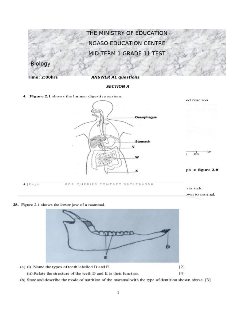 grade 11 mid term 1 biology test | PDF