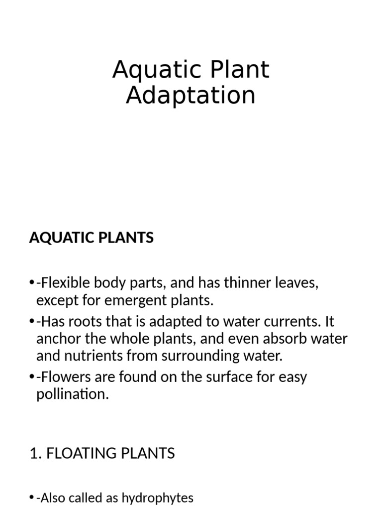 Aquatic Plant Adaptations Explained | PDF