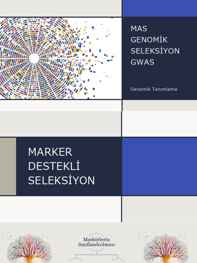 3 Gwas | PDF