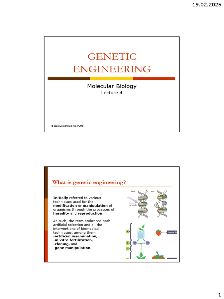 MolBio - Genetic Engineering Lecture | PDF | Restriction Enzyme | Dna