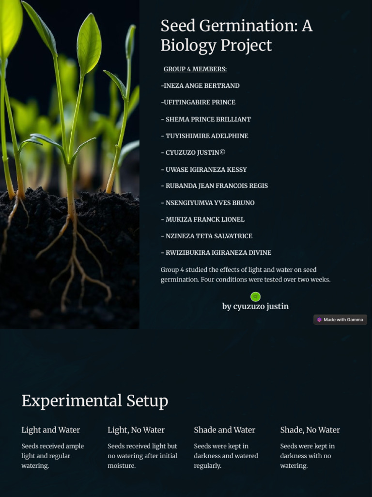 Seed Germination A Biology Project | PDF
