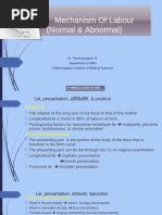 Mechanism of Labour | PDF | Pelvis | Anatomical Terms Of Motion