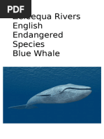 Whales | PDF