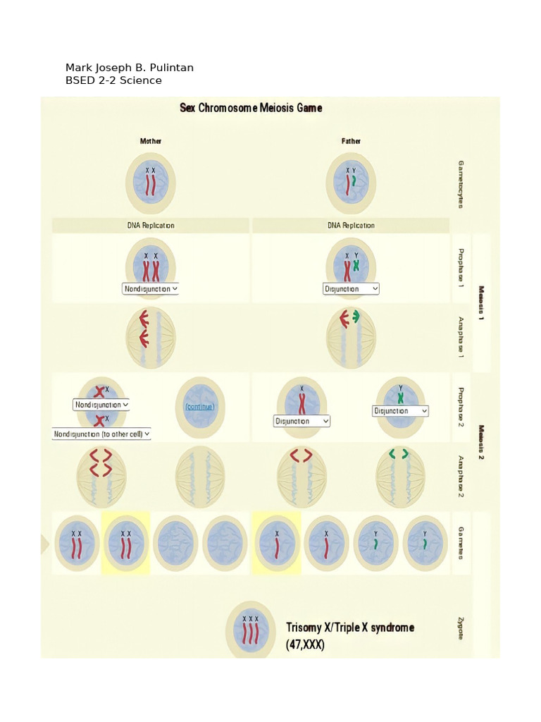 Trisomy X: Insights from Meiosis Game | PDF