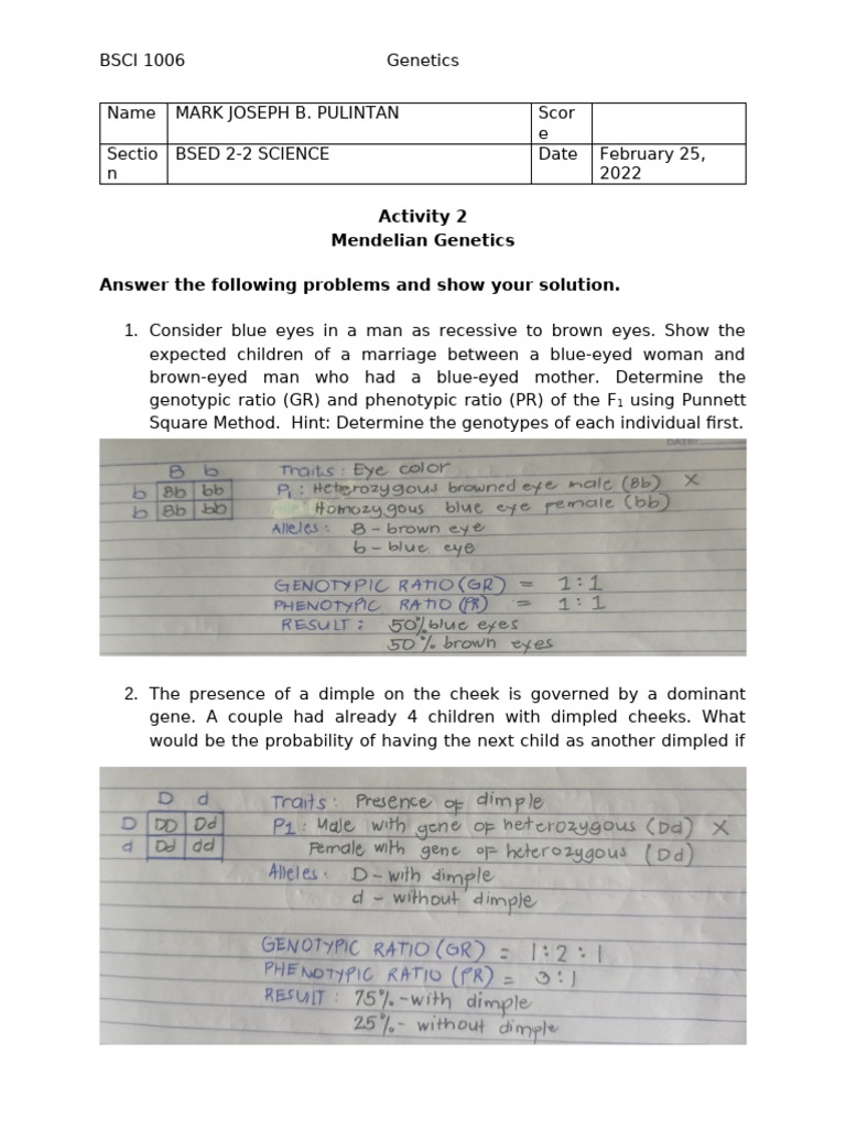 Activity 2 Mendelian Genetics Problem Set | PDF | Genotype | Dominance ...