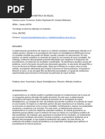 Diuresis Media Horaria | PDF | Orina | Especialidades Medicas