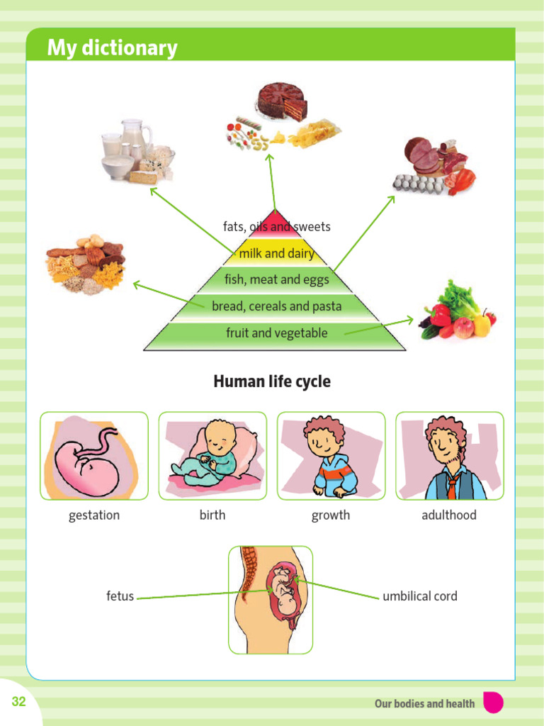NS2 M1 Diccionario | PDF