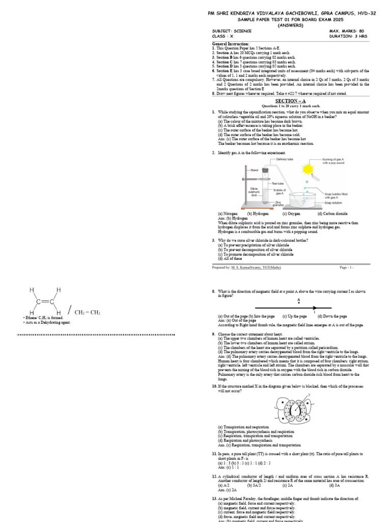 Sci QP Answer Bo - Booklet - Part - 2 | PDF | Ion | Dominance (Genetics)