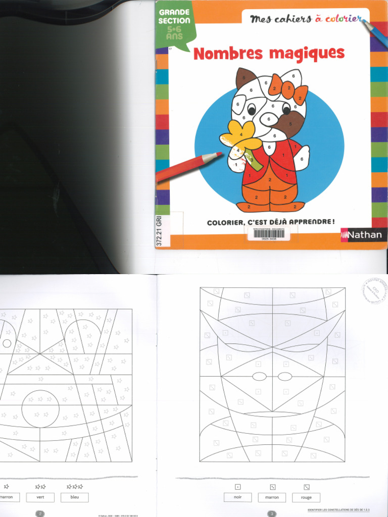 [C1] Nathan - Nombres Magiques | PDF