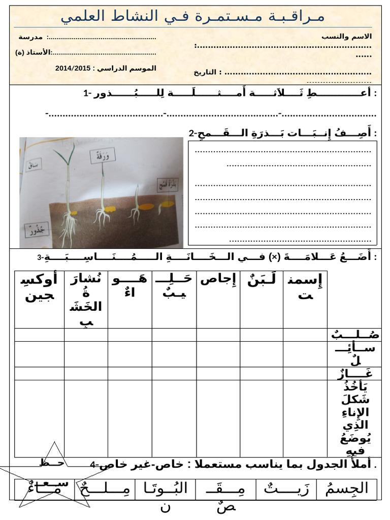 Devoir 2 Palier 1 Anachat Alilmi 1trim 3aep | PDF
