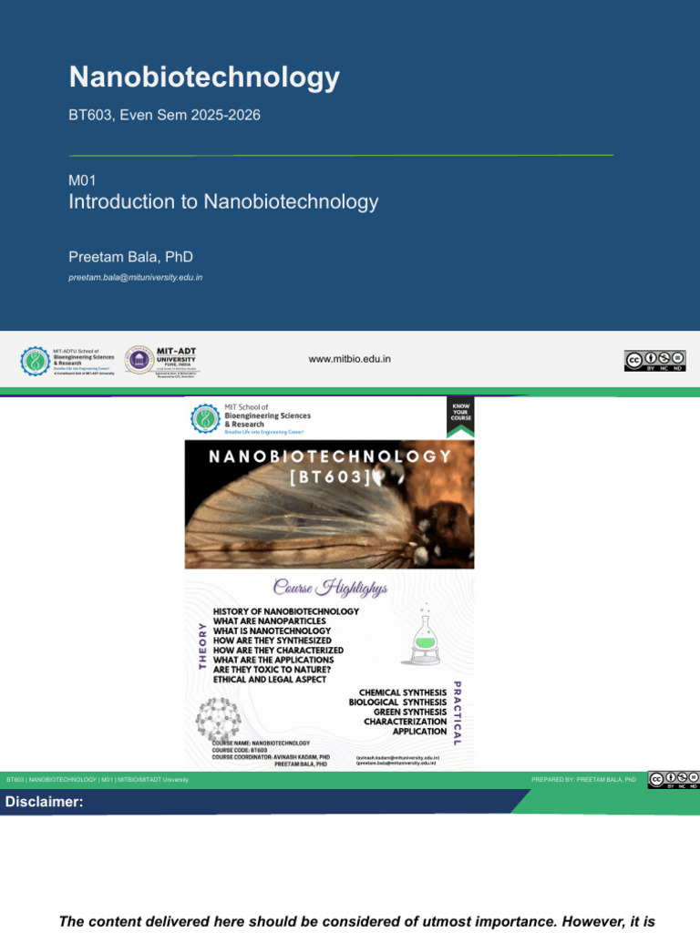 M01 BT603 Nanobiotech | PDF | Nanotechnology | Metals