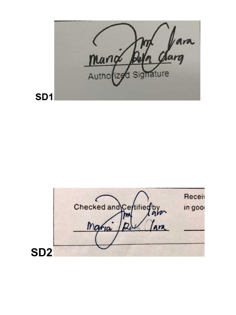 Signature Analysis and Characteristics | PDF | Writing | Typography