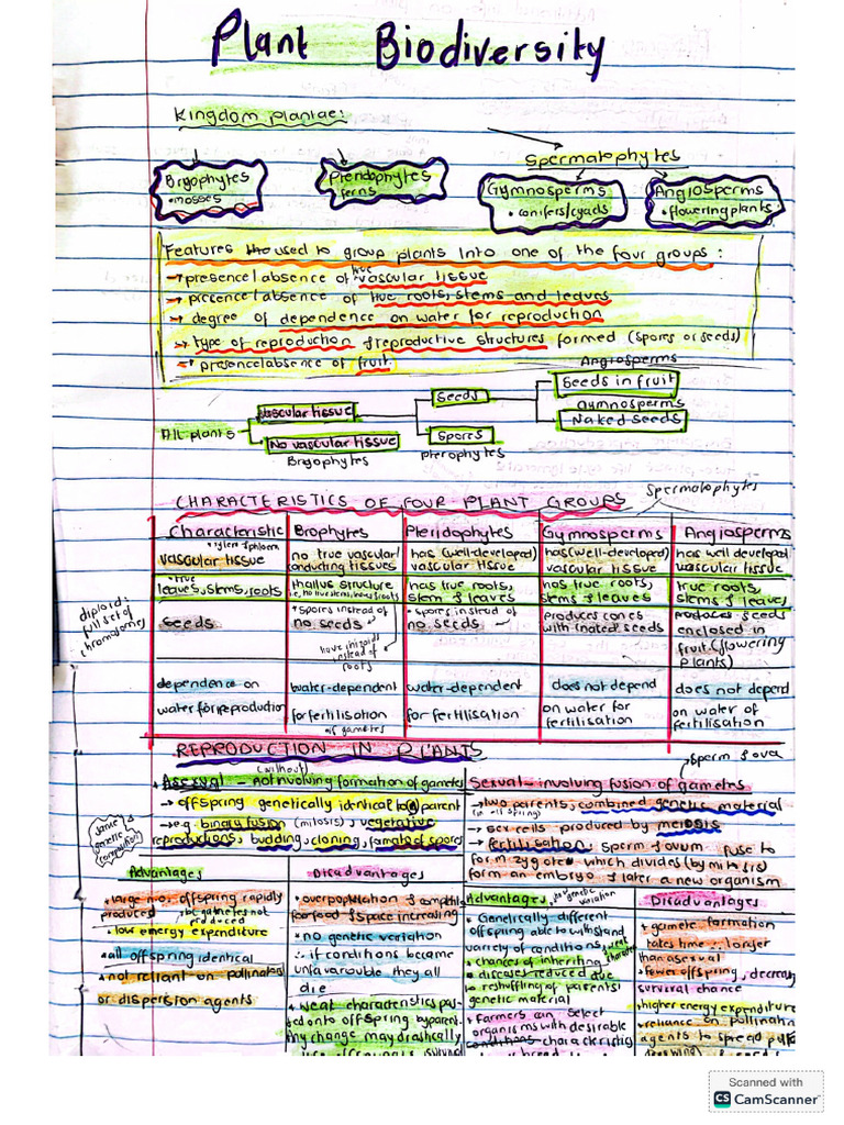 Plant Biodiversity Grade 11 Summary Notes | PDF
