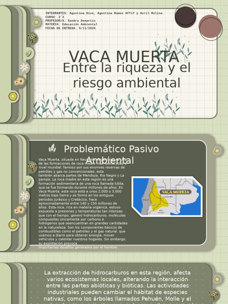 Vaca Muerta Ambiental TP | PDF | Combustibles | Ciencias de la Tierra