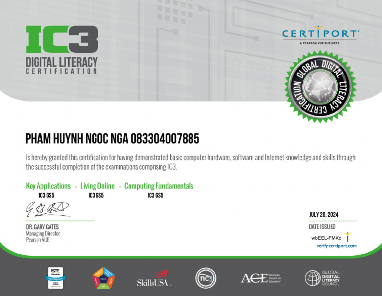 IC3 Certification Global Standard 5 | PDF