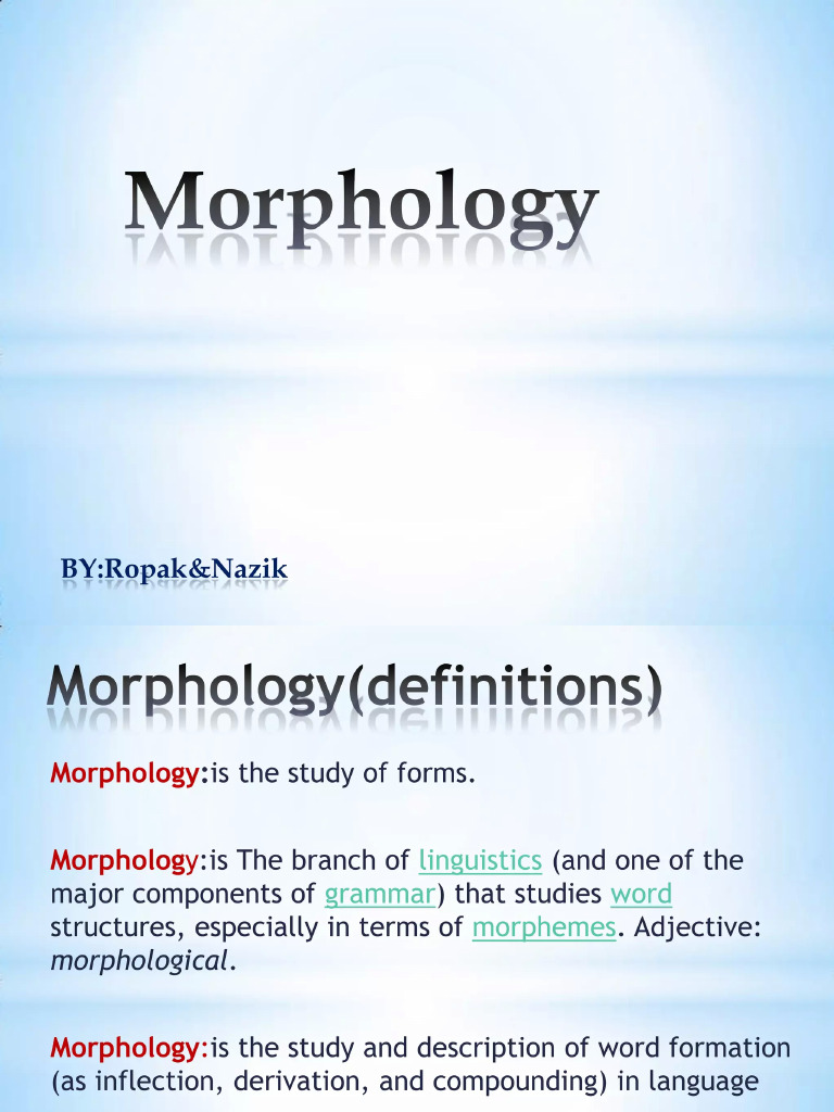Morphology | PDF