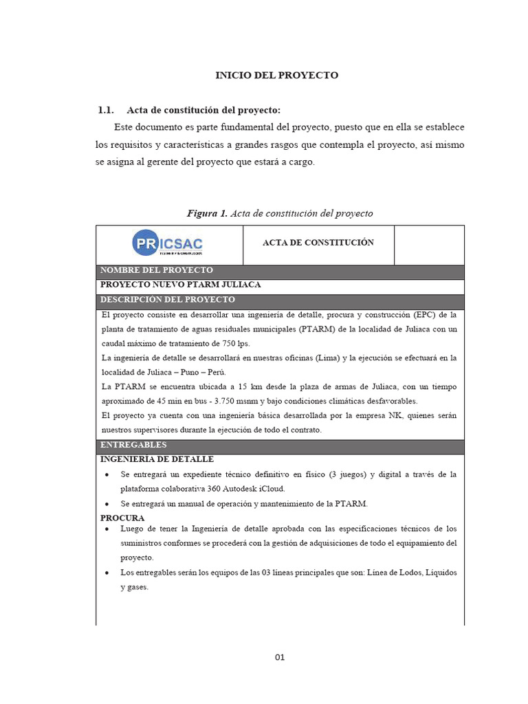Ejemplo 01 - PTAR Juliaca | PDF | Presupuesto | Auditoría