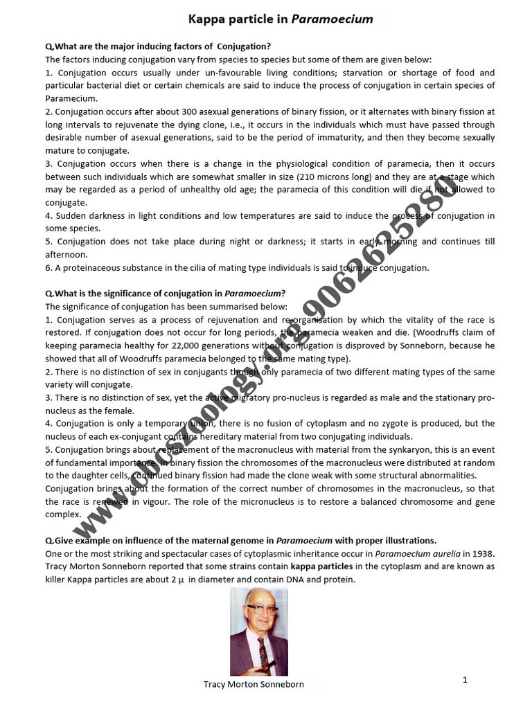 Kappa Particle in Paramoecium | PDF | Biology | Genetics