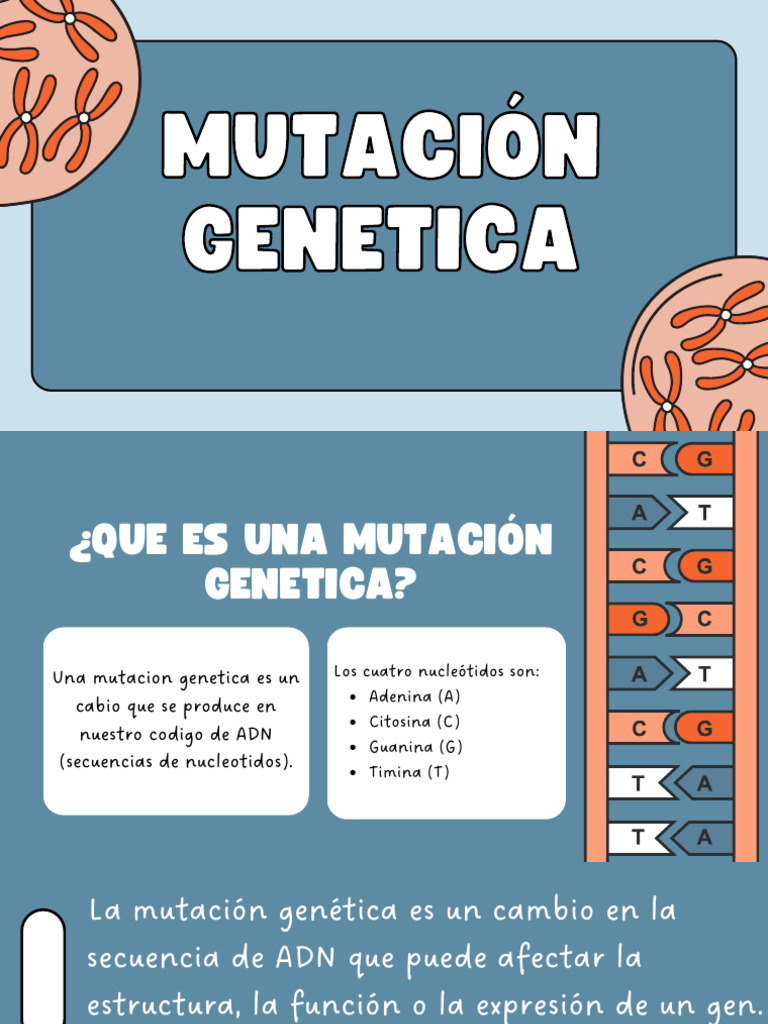 Mutaciones Genéticas y Genómicas | PDF | Mutación | Adn