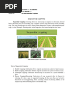 What Is Ratooning | PDF | Agriculture | Horticulture