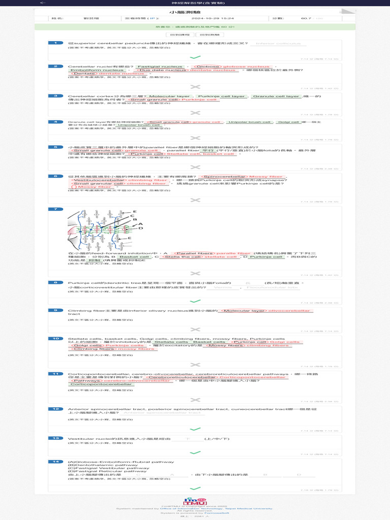 小腦測驗 I'm@TMU 數位學習4.0 | PDF