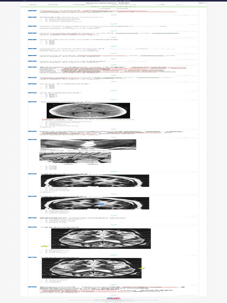 Diencephalon - NEW I'm@TMU 數位學習4.0 | PDF
