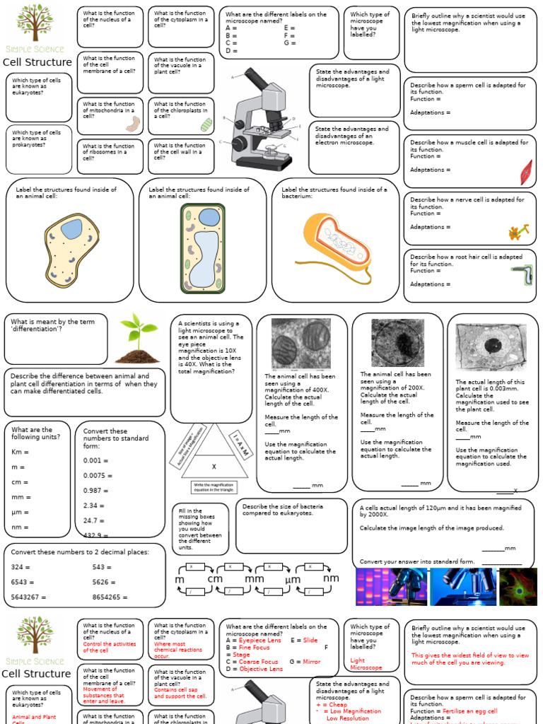 4 1 1-Cell-Structure | PDF | Cell (Biology) | Cytoplasm